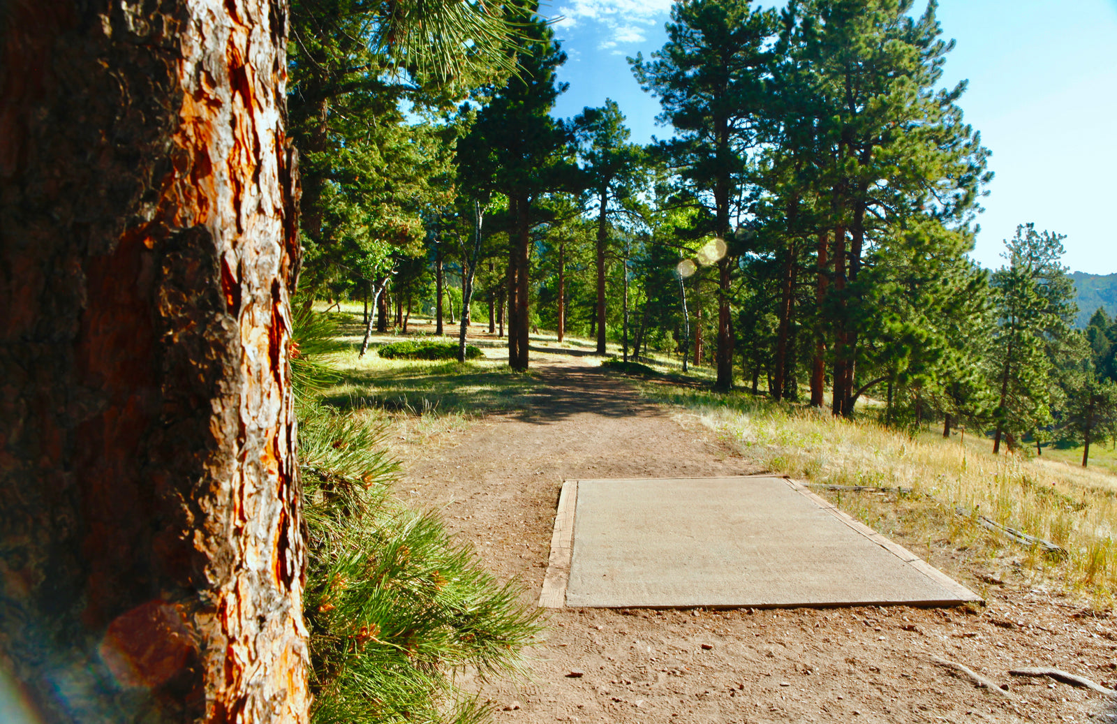 Gallery – Beaver Ranch Disc Golf Course